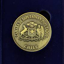 NYU Wagner Alumnus Ignacio Aravena Awarded Chilean Congress Merit Medal | NYU Wagner